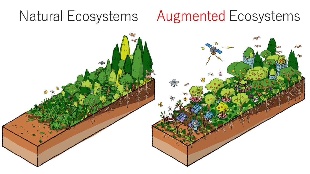 Synecoculture™ and Augmented Ecosystems – Sony CSL